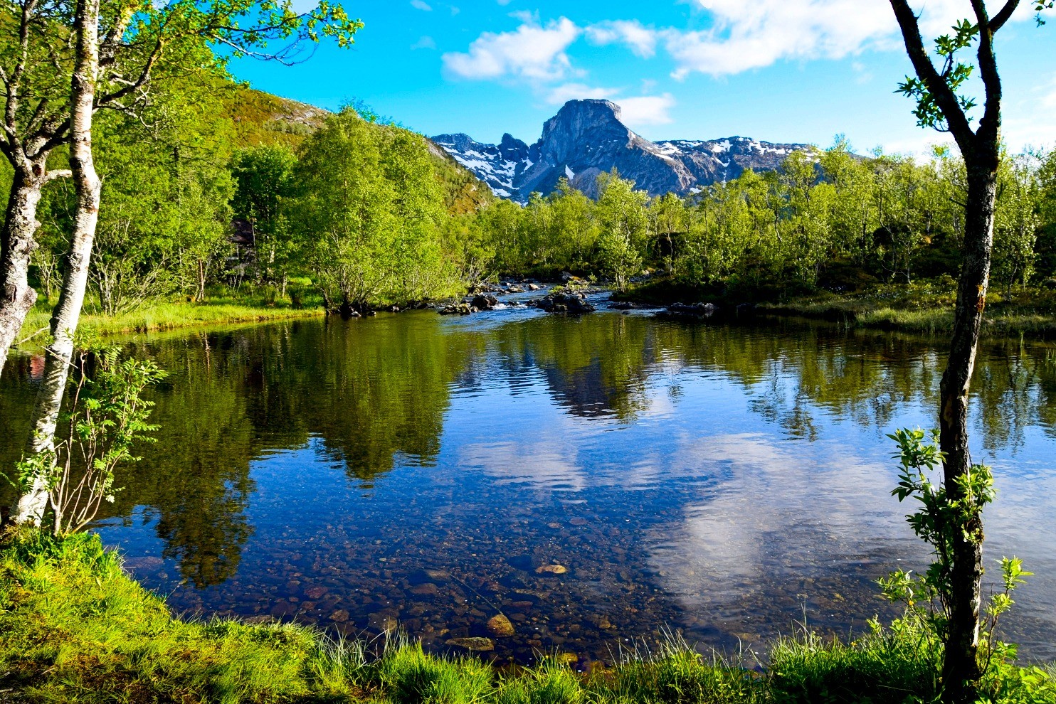 Elv og skog med Steigtind i bakgrunnen Elv og skog med Steigtind i bakgrunnen